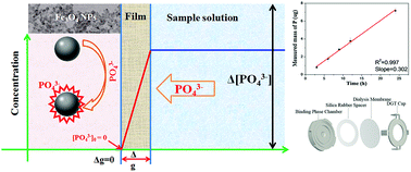 Novel Fe3O4 nanoparticles-based DGT device for dissolved reactive ...