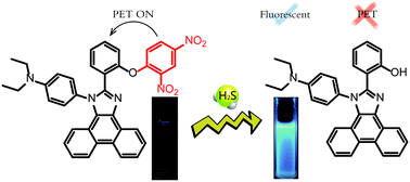 A novel fluorescent probe for selective detection of hydrogen sulfide ...