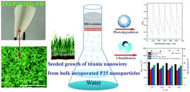 Titania nanowires coated PEI/P25 membranes for photocatalytic and ...