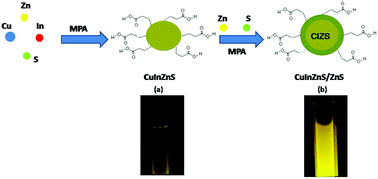 An efficient microwave-assisted hydrothermal synthesis of high-quality ...