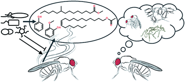 Influence of microbial symbionts on insect pheromones - Natural Product ...