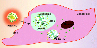 Encapsulation of aggregated gold nanoclusters in a metal–organic ...