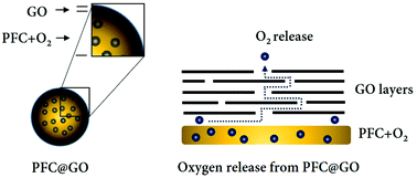 Graphene oxide-stabilized perfluorocarbon emulsions for controlled ...
