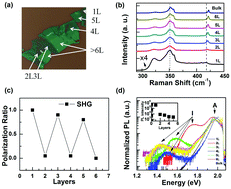 Anomalous enhancement of valley polarization in multilayer WS2 at room ...