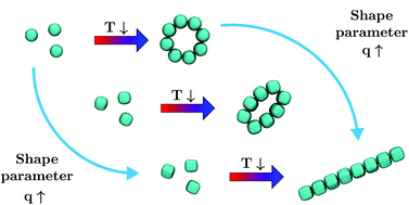 How cube-like must magnetic nanoparticles be to modify their self ...