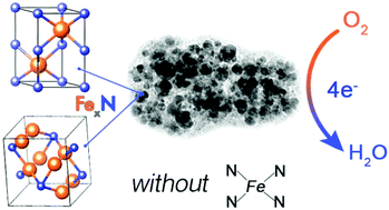 The role of iron nitrides in the Fe–N–C catalysis system towards the ...