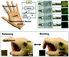 A skin-integrated transparent and stretchable strain sensor with ...