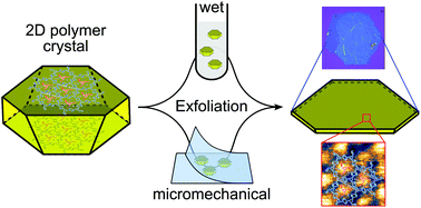 Exfoliation of two-dimensional polymer single crystals into thin sheets ...