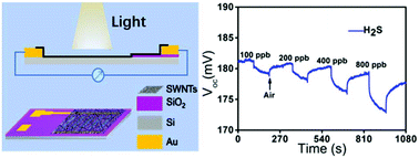 A photovoltaic self-powered gas sensor based on a single-walled carbon nanotube/Si ...