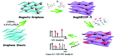 Self-assembling covalent organic framework functionalized magnetic ...