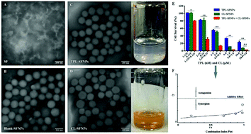 Triptolide and celastrol loaded silk fibroin nanoparticles show ...