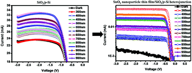 Ultrahigh broadband photoresponse of SnO2 nanoparticle thin film/SiO2/p ...