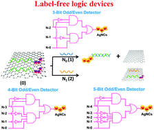 A label-free and universal platform for the construction of an odd/even ...