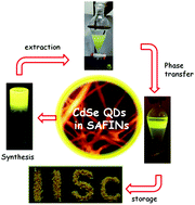 In situ formation of luminescent CdSe QDs in a metallohydrogel: a ...
