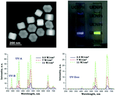 Ultraviolet phototoxicity of upconversion nanoparticles illuminated ...