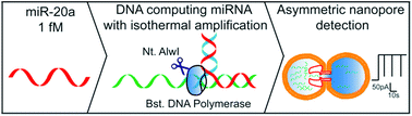 MicroRNA detection at femtomolar concentrations with isothermal ...