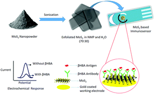Liquid exfoliation of 2D MoS2 nanosheets and their utilization as a ...