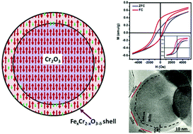 Magnetic properties of core–shell nanoparticles possessing a novel Fe ...