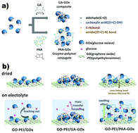 Glucose oxidase and polyacrylic acid based water swellable enzyme ...