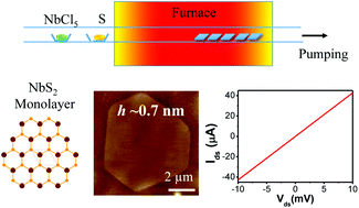 Chemical vapor deposition of trigonal prismatic NbS2 monolayers and 3R ...