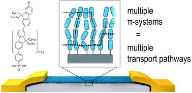 Self-assembled monolayer field-effect transistors based on oligo-9,9′-dioctylfluorene phosphonic ...
