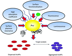Gold nanoparticle-based colorimetric biosensors - Nanoscale (RSC ...
