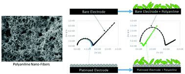 Metal–polymer interface influences apparent electrical properties of ...