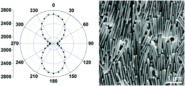 Liquid crystal self-assembly of upconversion nanorods enriched by ...