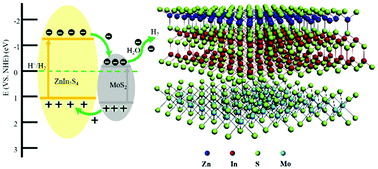 A 2D self-assembled MoS2/ZnIn2S4 heterostructure for efficient ...