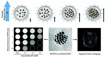 Nano-confinement-driven enhanced magnetic relaxivity of SPIONs for ...