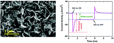 Enhanced broadband photoresponse of a self-powered photodetector based ...