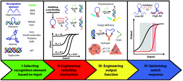 Programmable DNA switches and their applications - Nanoscale (RSC Publishing)