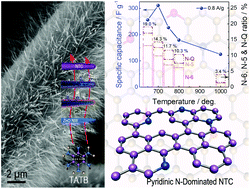 Pyridinic-nitrogen highly doped nanotubular carbon arrays grown on a ...
