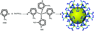 Early stage structural development of prototypical zeolitic imidazolate ...