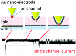 A gold nano-electrode for single ion channel recordings - Nanoscale ...