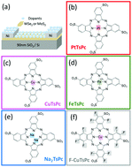 Controlled doping of transition metal dichalcogenides by metal work function tuning in ...