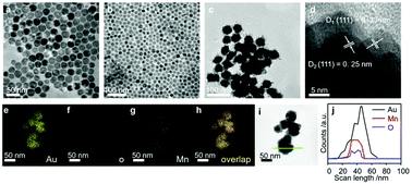 Porous gold nanocluster-decorated manganese monoxide nanocomposites for ...