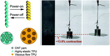 Hierarchical carbon nanotube composite yarn muscles - Nanoscale (RSC ...