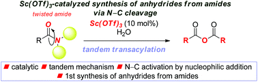 Sc(OTf)3-catalyzed synthesis of anhydrides from twisted amides ...