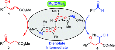 Mg(OMe)2 promoted allylic isomerization of γ-hydroxy-α,β-alkenoic esters to synthesize γ-ketone ...