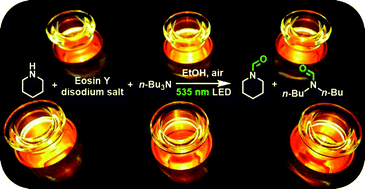 Photocatalytic N-formylation of amines via a reductive quenching cycle ...