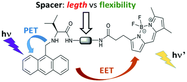 Novel fluorescent anthracene–bodipy dyads displaying sensitivity to pH ...