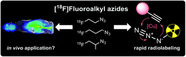 [18F]Fluoroalkyl azides for rapid radiolabeling and (Re)investigation ...