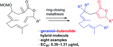 Late-stage divergent synthesis and antifouling activity of geraniol ...