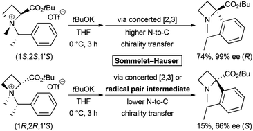 Structural and mechanistic studies of the base-induced Sommelet–Hauser ...