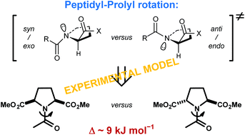Amide rotation trajectories probed by symmetry - Organic & Biomolecular ...