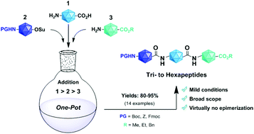 Highly efficient one-pot assembly of peptides by double chemoselective ...