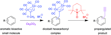 A mild two-step propargylation of aromatic bioactive small molecules ...