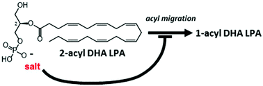 A study of synthetic approaches to 2-acyl DHA lysophosphatidic acid ...