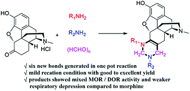 A one-pot multicomponent approach to a new series of morphine ...